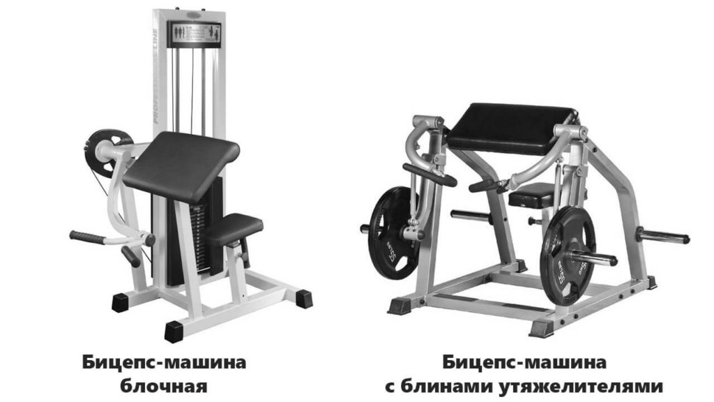 Бицепс машина - как выполнять упражнение в тренажере для максимального ...